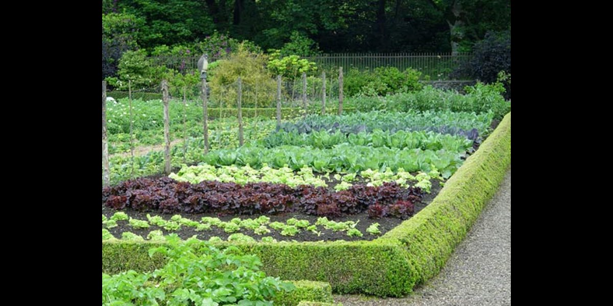 Beautiful Vegetable Garden 10 Tips On Growing Your Own Vegetable