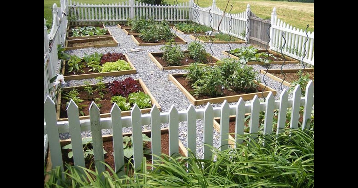 Raised Garden Bed Fence Standard Raised Bed Forest Garden