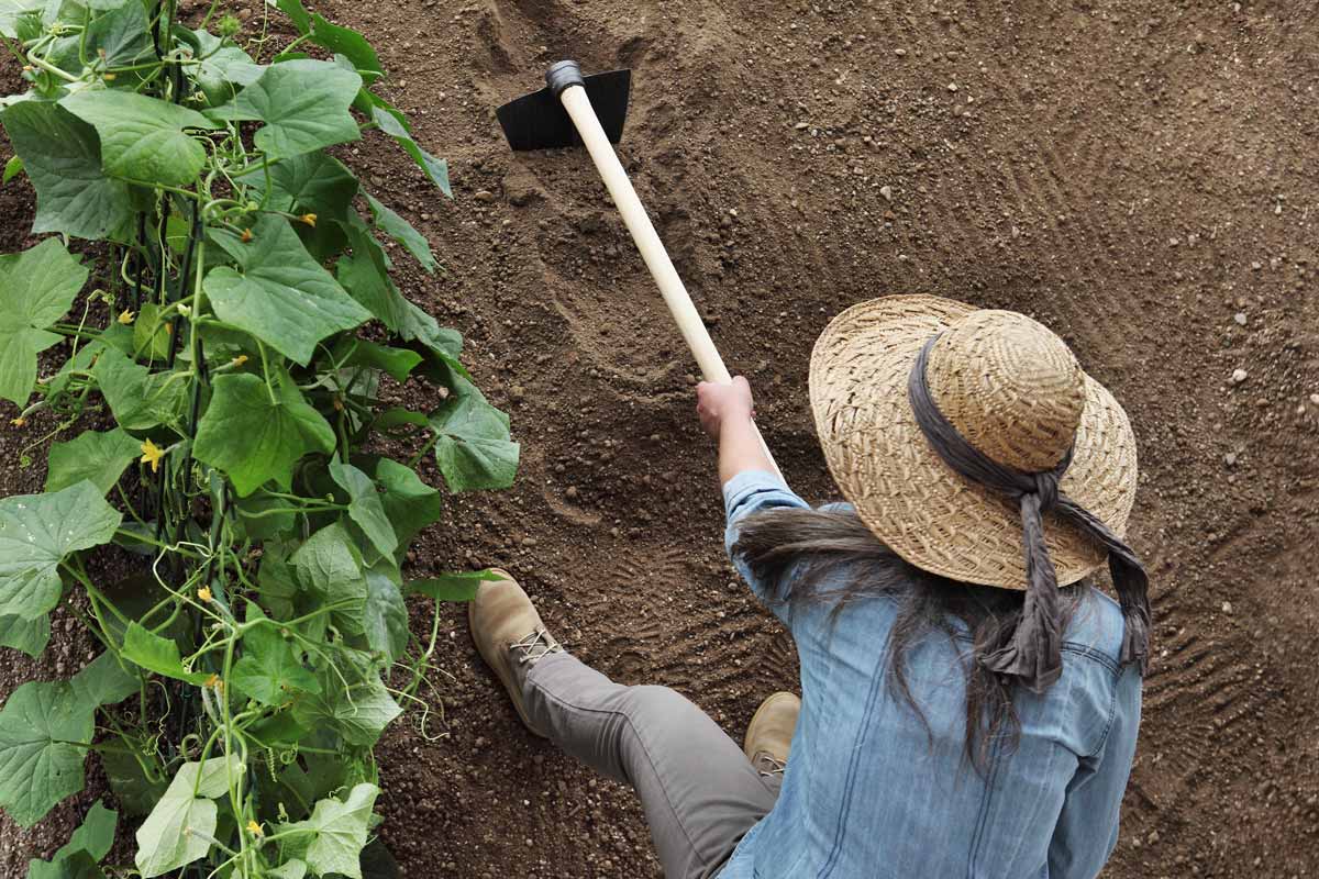 Long-handled Weeding Tools
