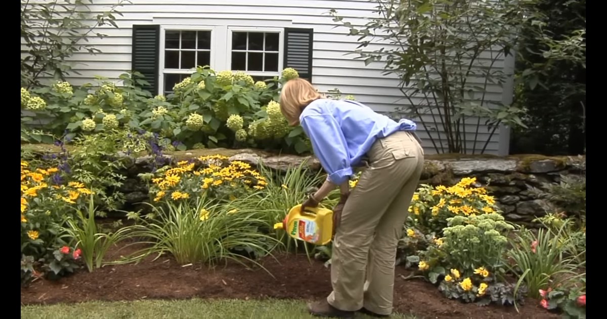 Applying Preen Weed Preventer