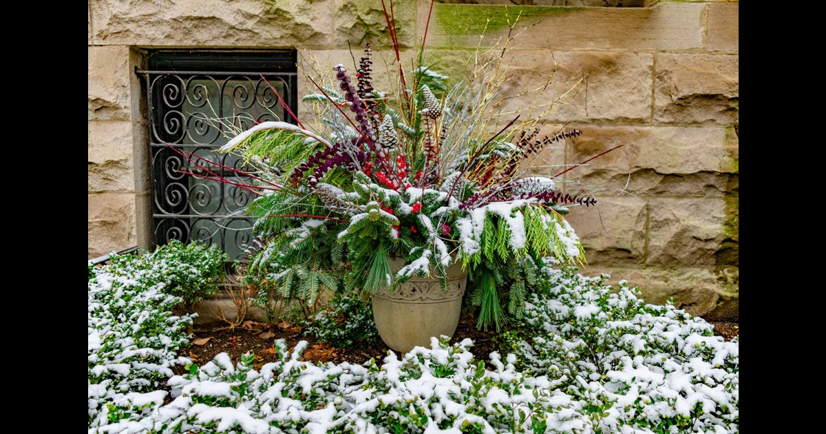 December Gardening Checklist