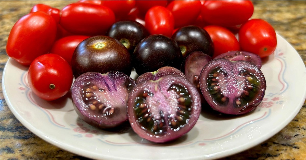 Seven of the Best New Edibles for 2025